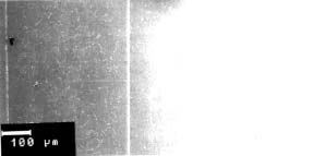 Progress and Trends in Ink-jet Printing Technology